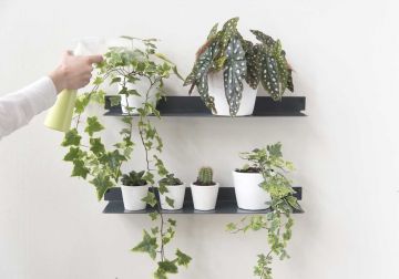 Buy Floating plant shelf L55