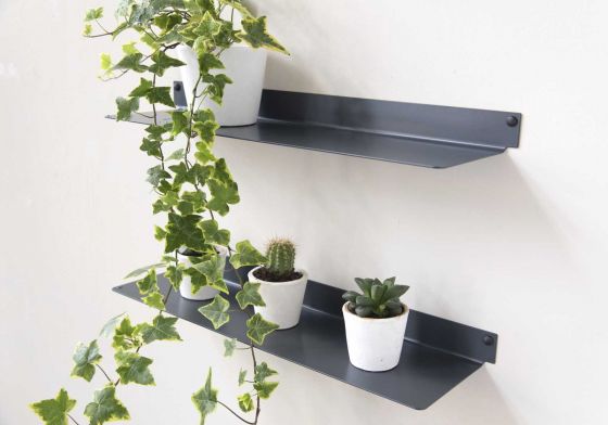 Floating Plant Shelf