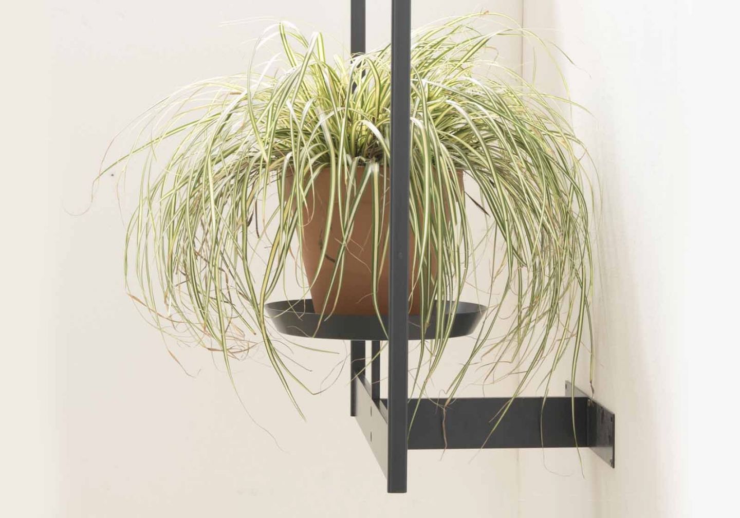 Buy Floating plant shelf 21.65 inches