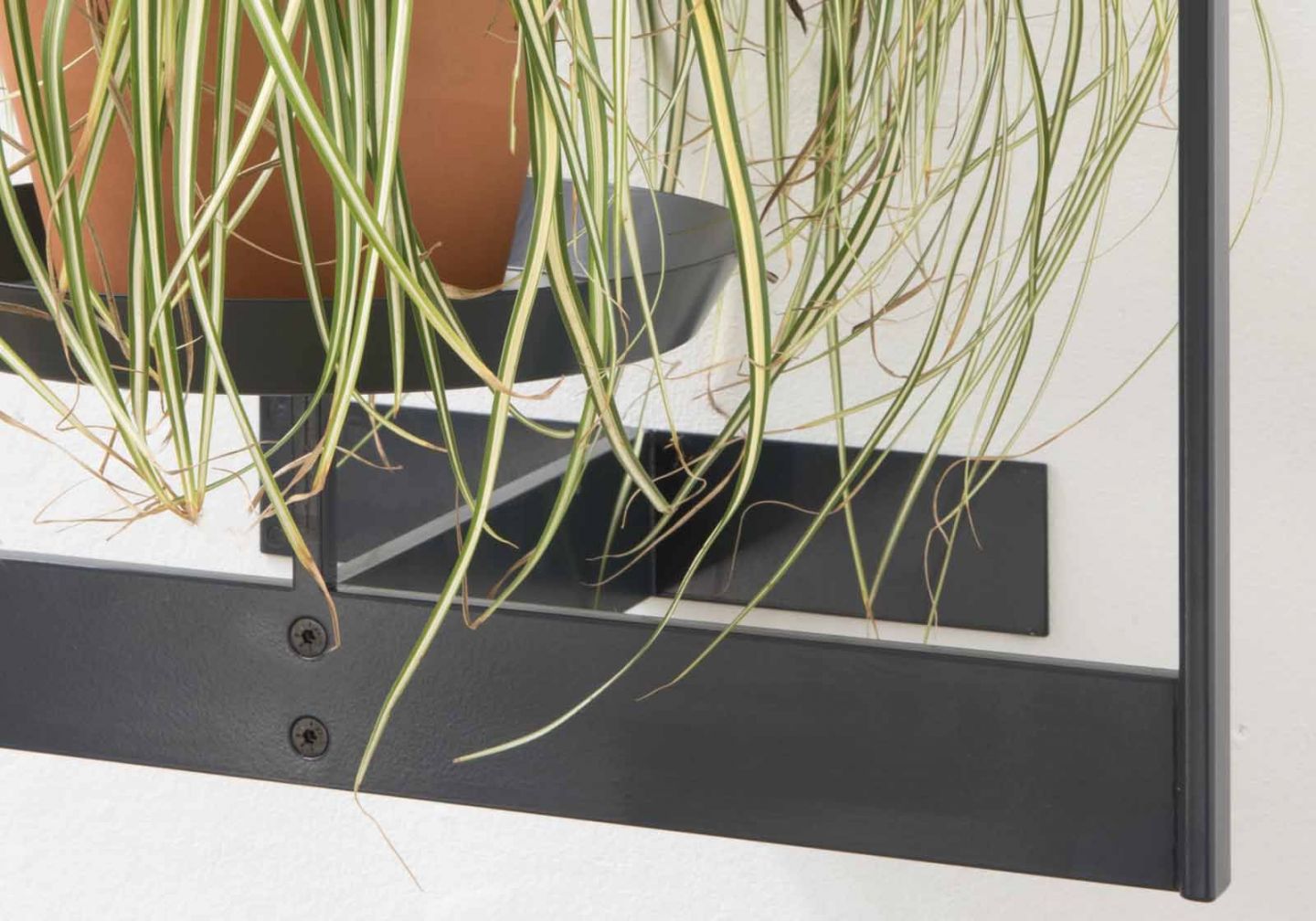 Buy Floating plant shelf 21.65 inches